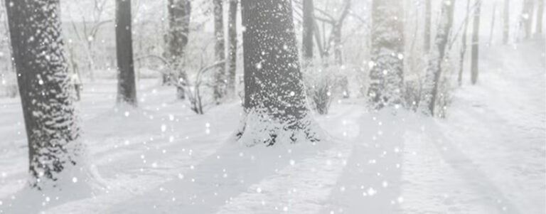 10 Best Places for Snowfall in India - 2024